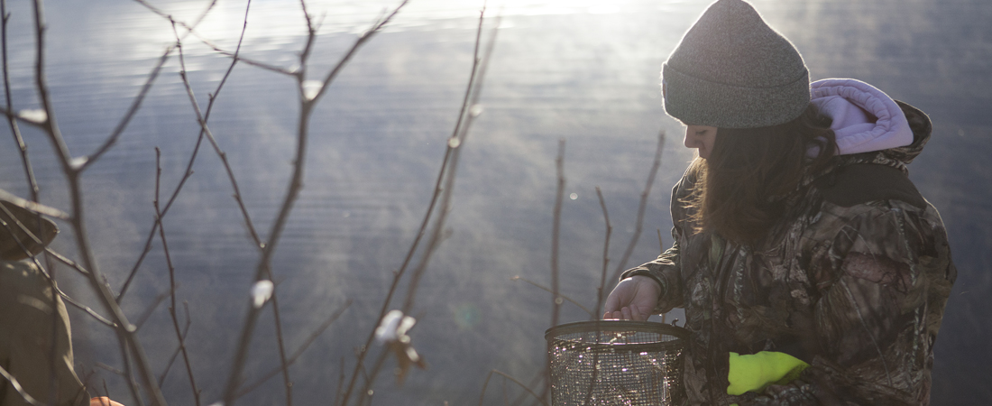 University of Alaska Anchorage | | University of Alaska Anchorage