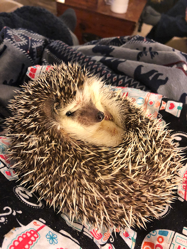 Annual Report | Assessment | University of Alaska Anchorage