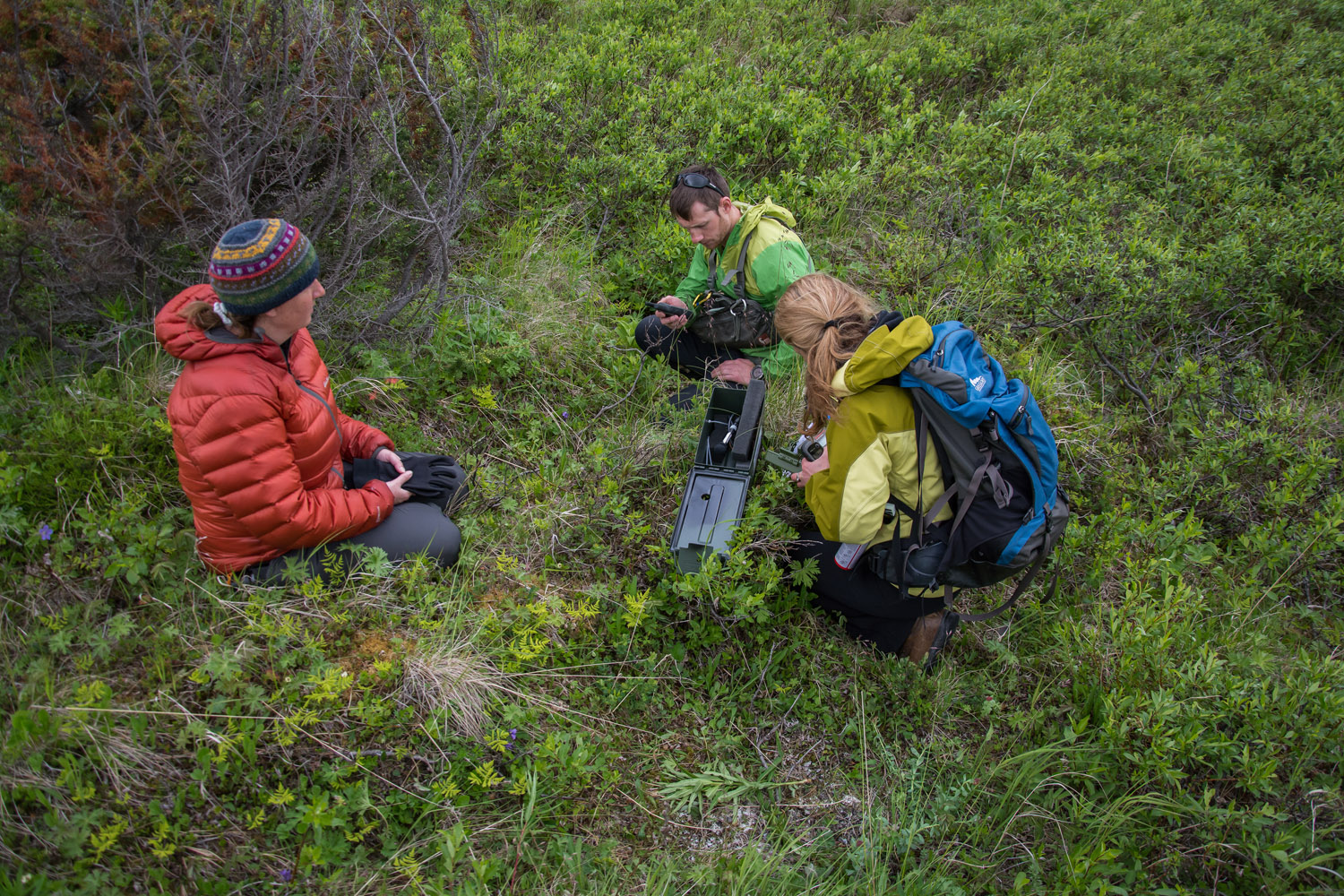 Little Brown Bat Survey | Business Enterprise Institute | University of ...