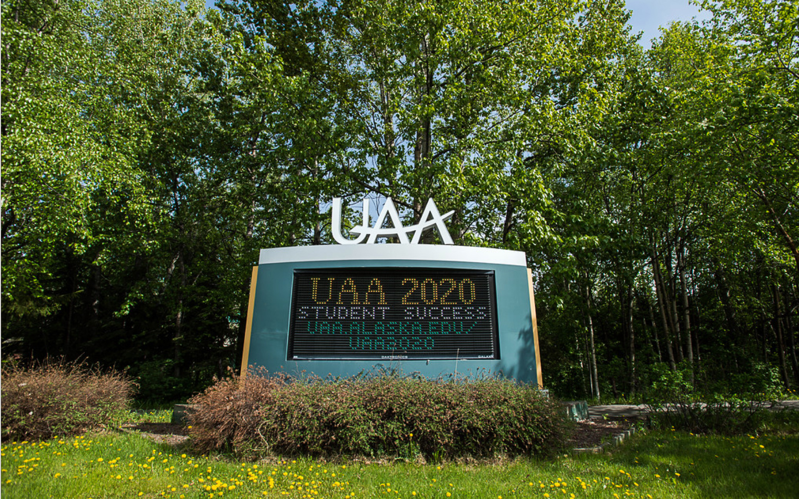 Student Opportunities & Advising | College of Engineering | University ...