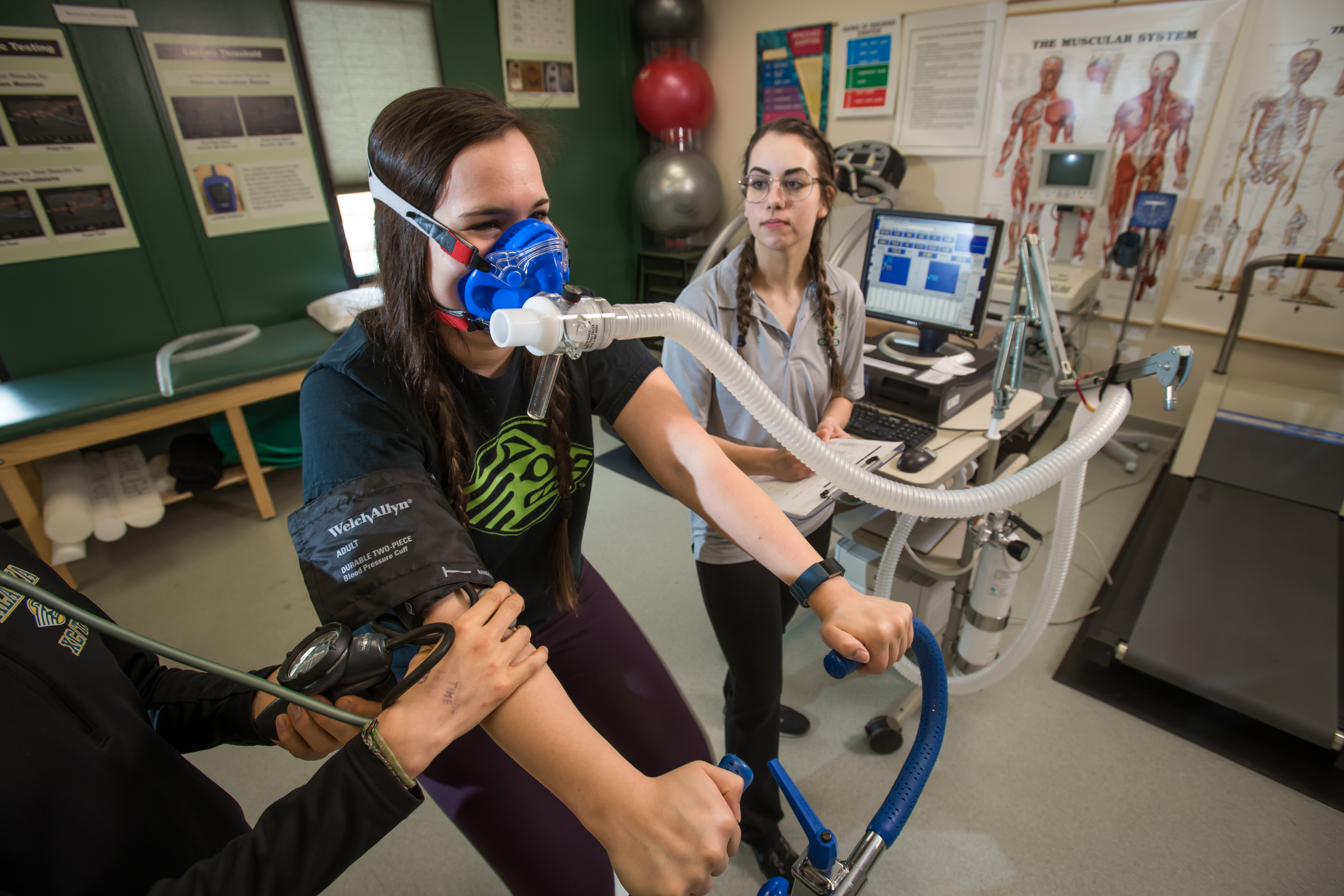 Athletic Performance Profile Assessment | College of Health ...